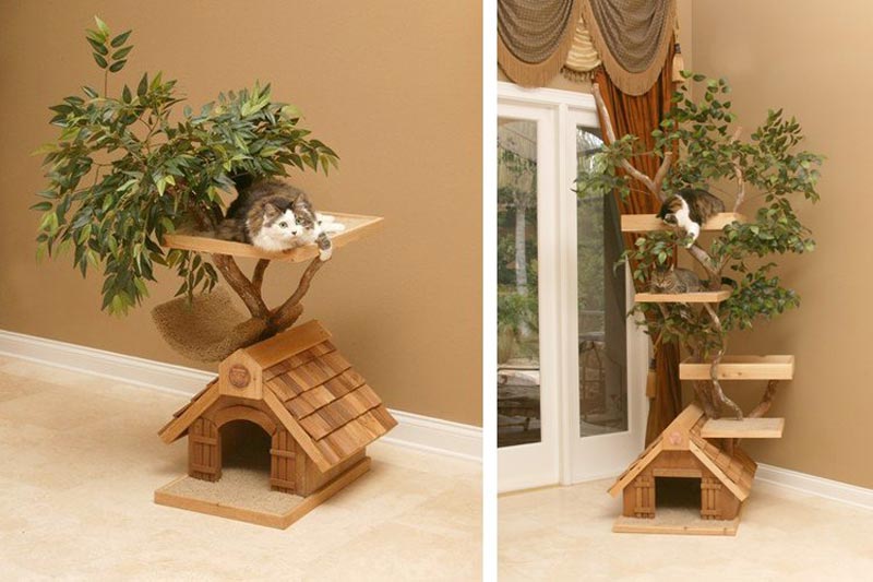 Cat Furniture Design Ideas Quiet Corner