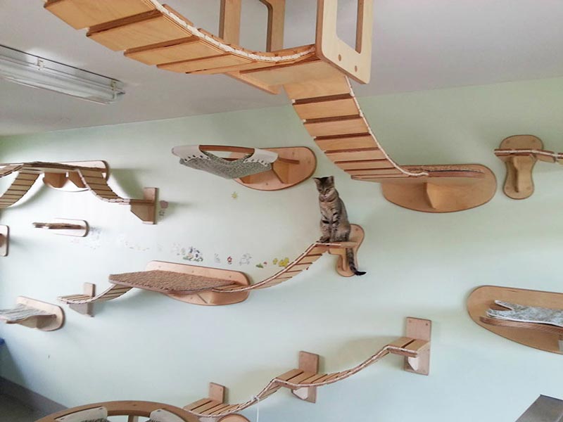 Cat Furniture Design Ideas Cat Furniture Design Ideas
