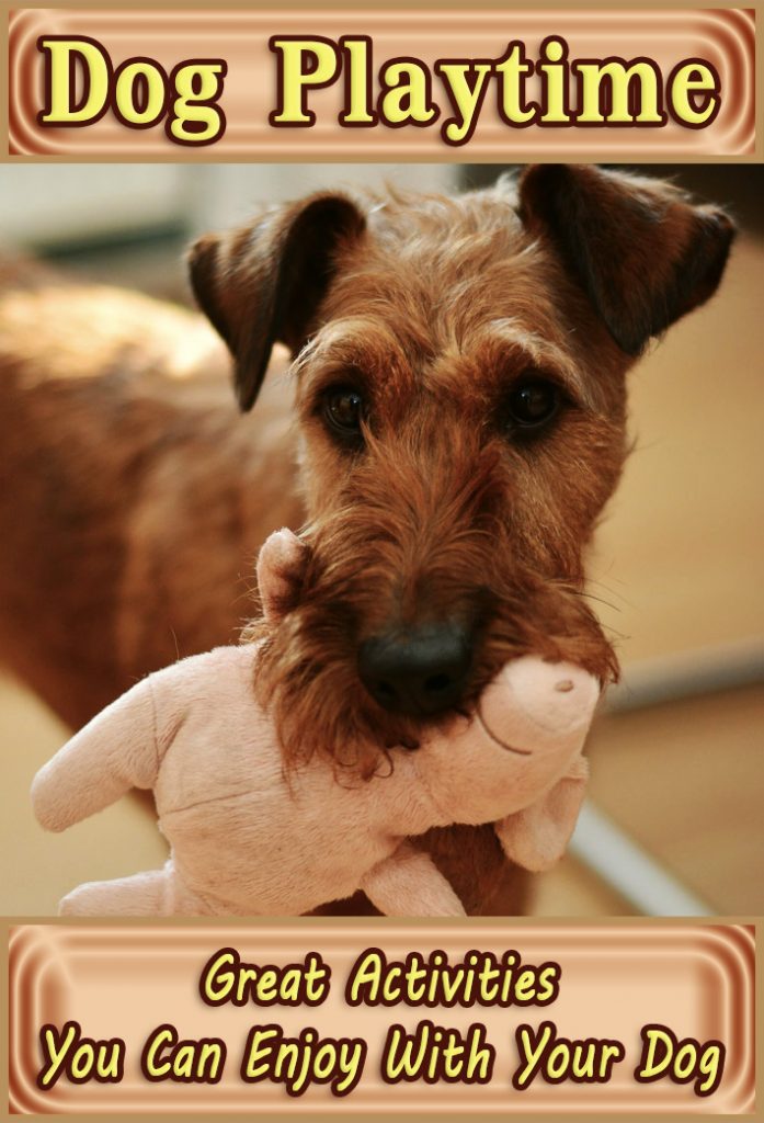 Top 10 Dog Training Tips