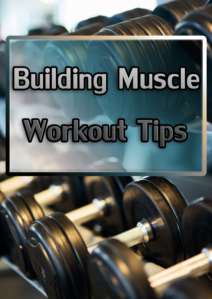 Building Muscle - Workout Tips