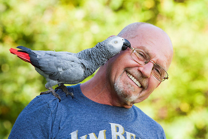 How to Have Happy Parrot