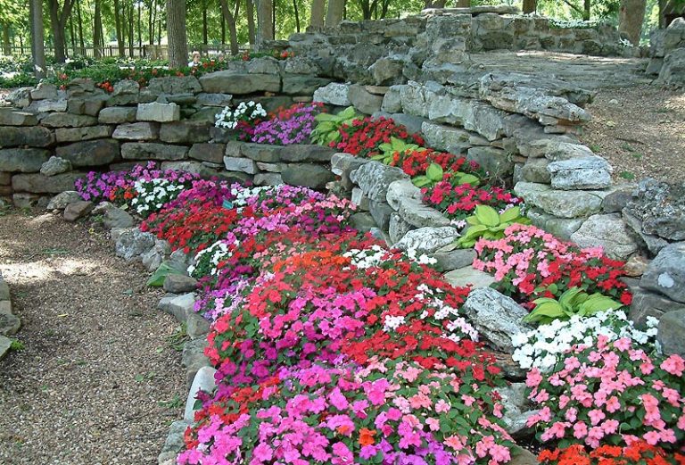 Stunning Rock Garden Design Ideas