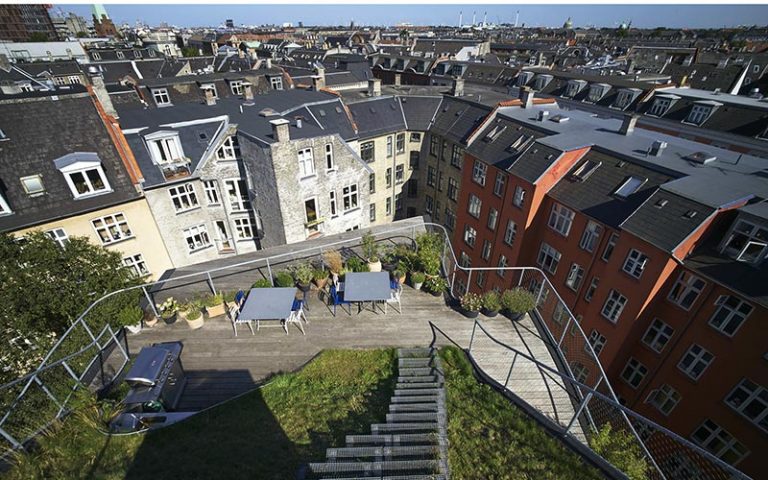Use The Roof To Create Your Missing Garden
