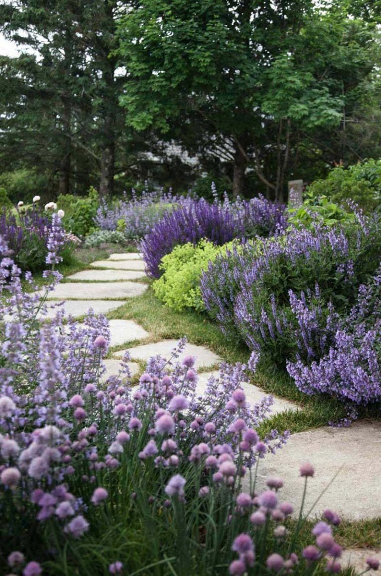 Beautiful Garden Paths Made of Natural Stone
